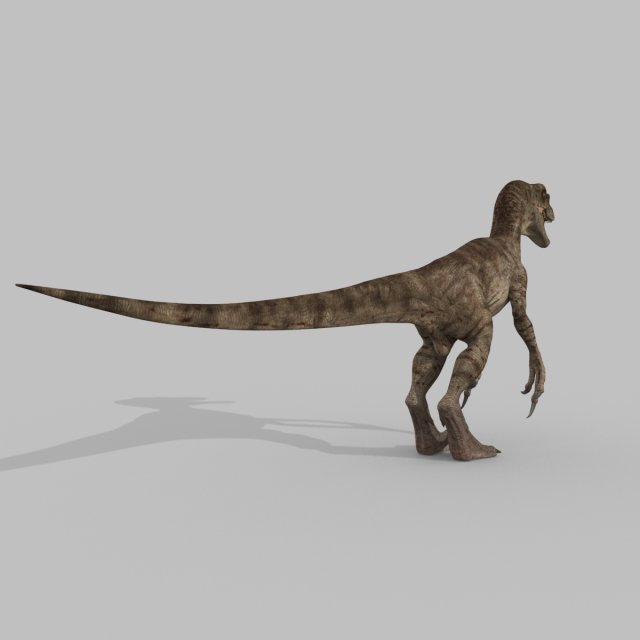 extreme raptor collection - 8k 3D Model in Dinosaur 3DExport