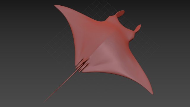 Manta Ray 8K- 3d animated 3D Model in Aquatic 3DExport