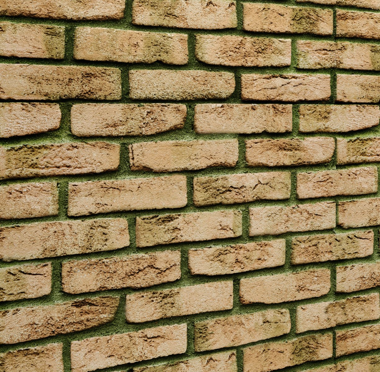 bricks wall 3D Models in Environment 3DExport