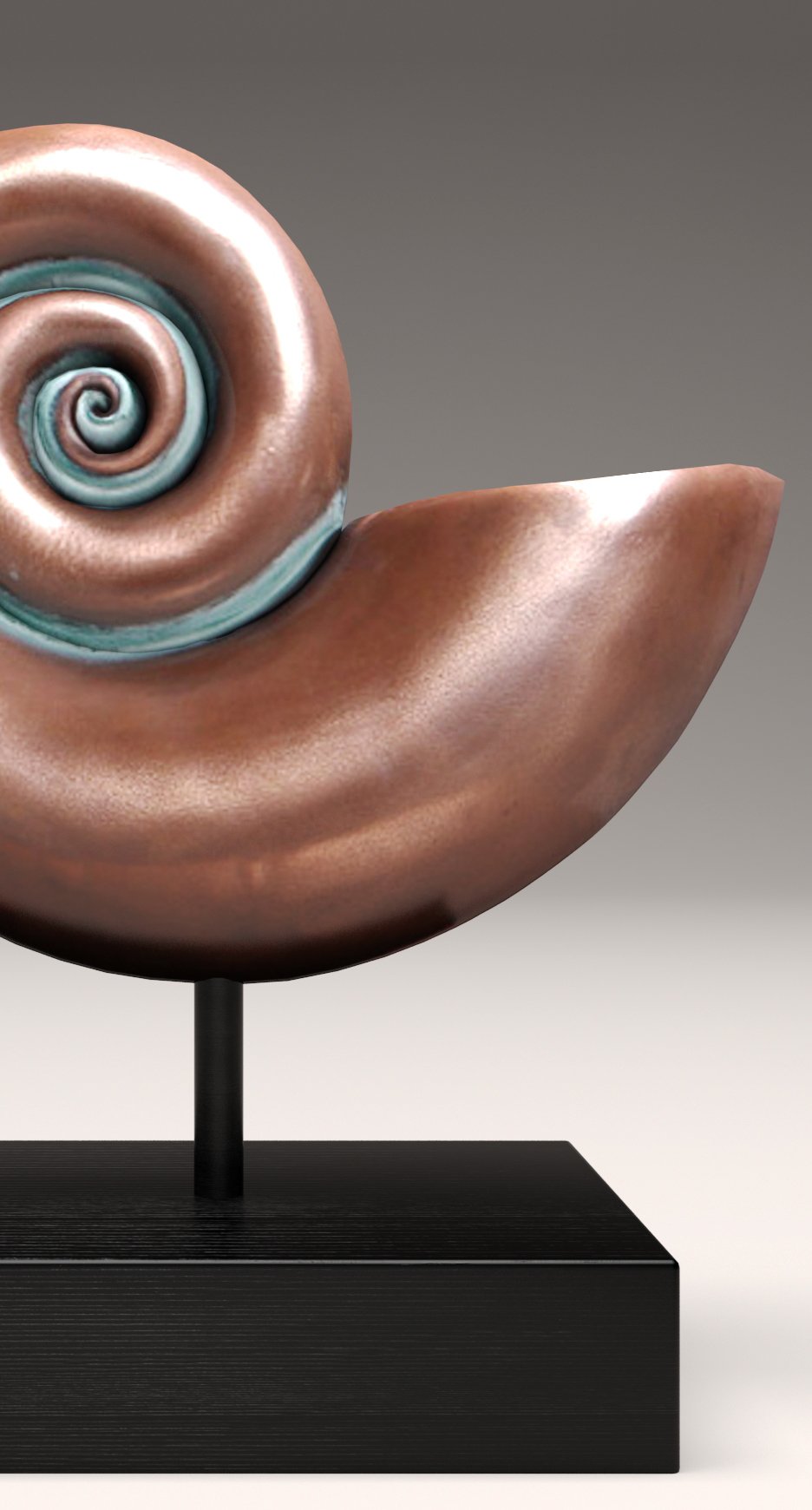 ammonite shell 3D Models in Sculpture 3DExport