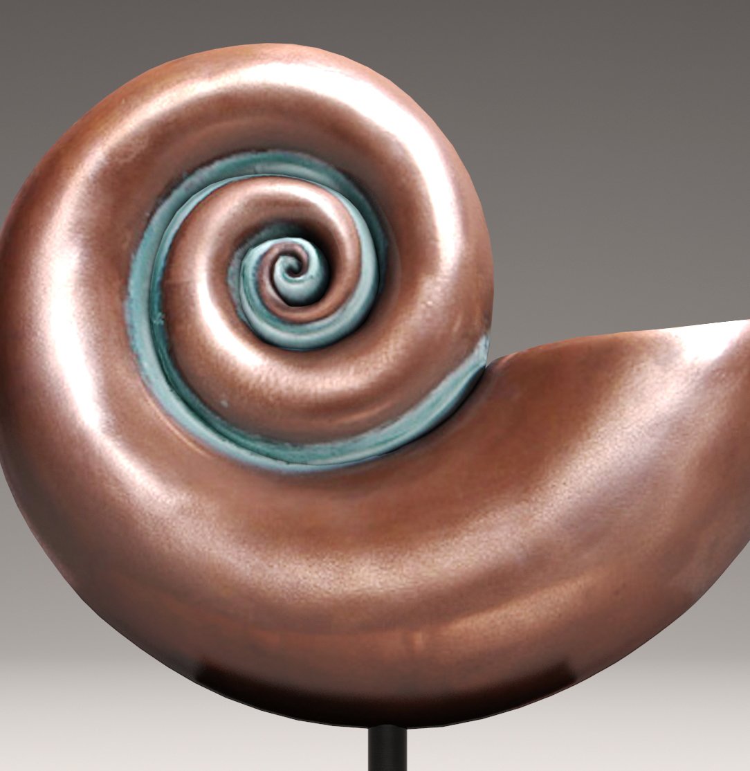 ammonite shell 3D Models in Sculpture 3DExport