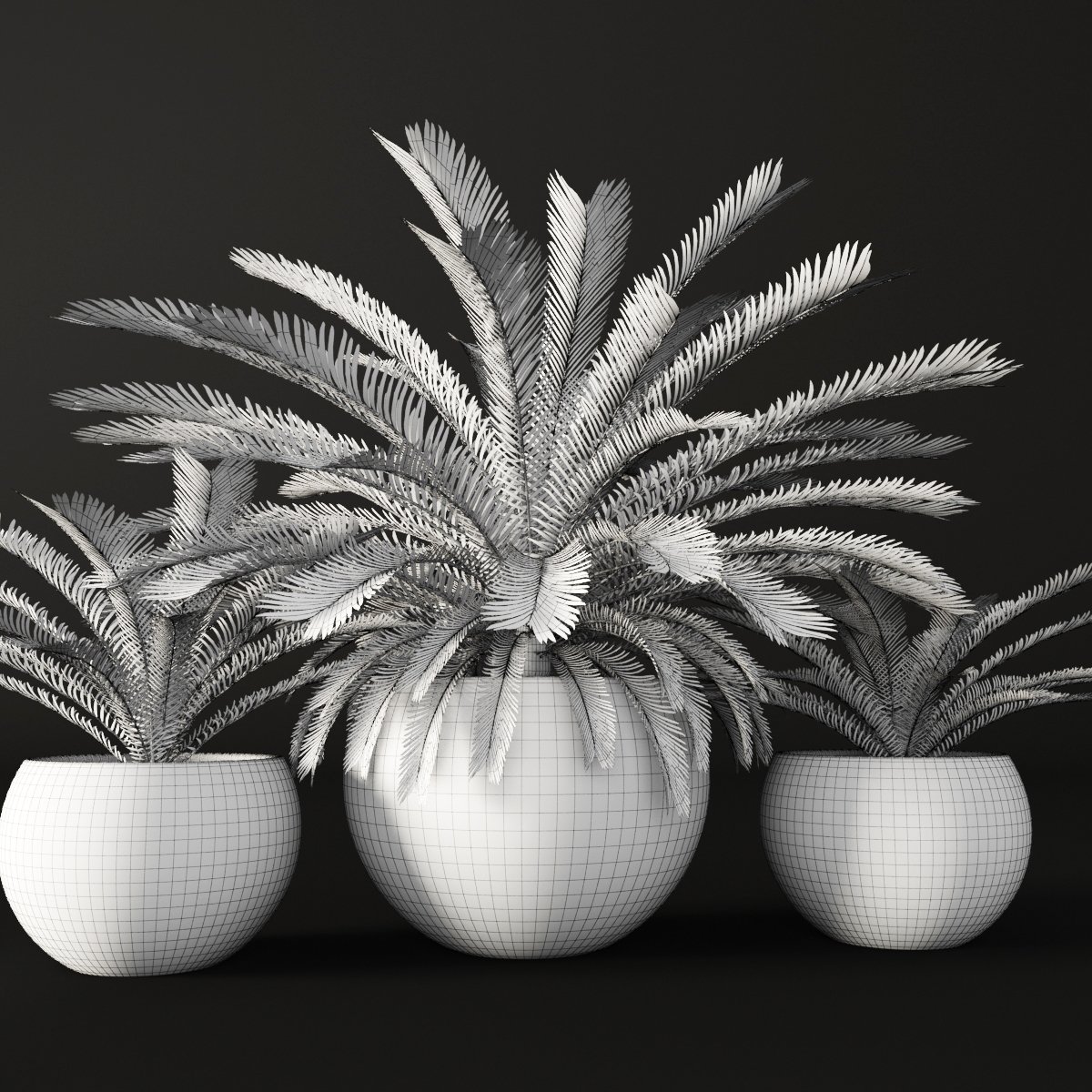 palm tree 3D Models in Tree 3DExport