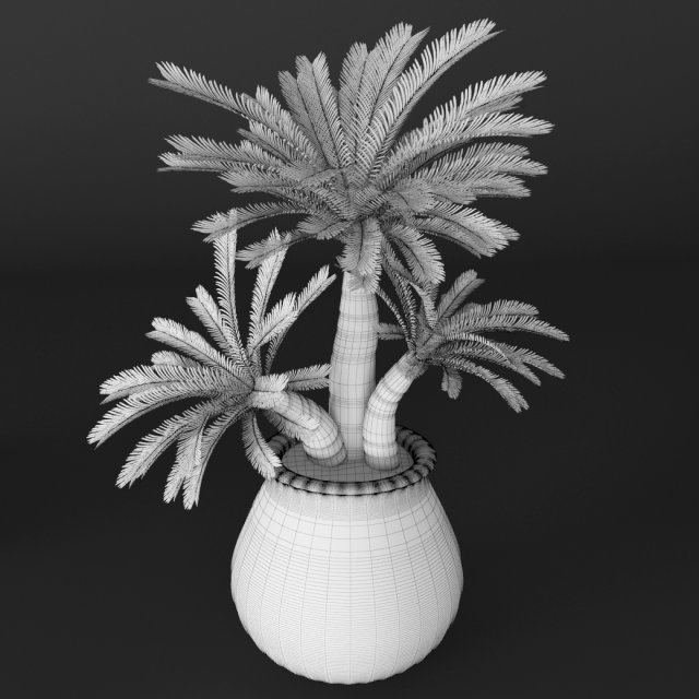 palm tree 3D Model in Small Plants 3DExport