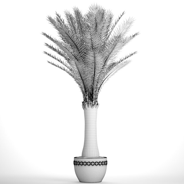 date palm 3D Model in Tree 3DExport