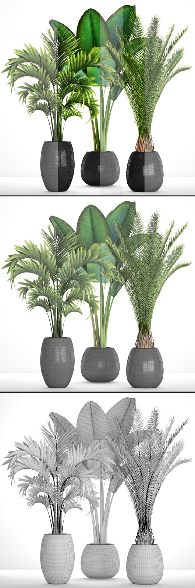 collection of tropical plants 3D Model in Bush 3DExport