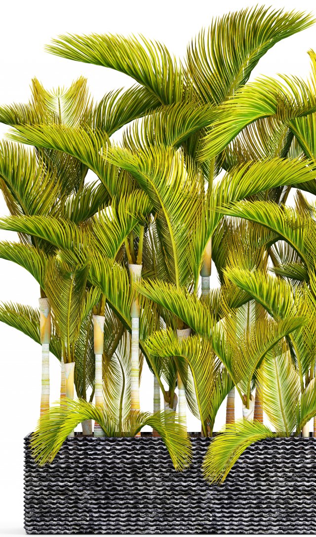 collection of tropical plants 3D Model in Tree 3DExport