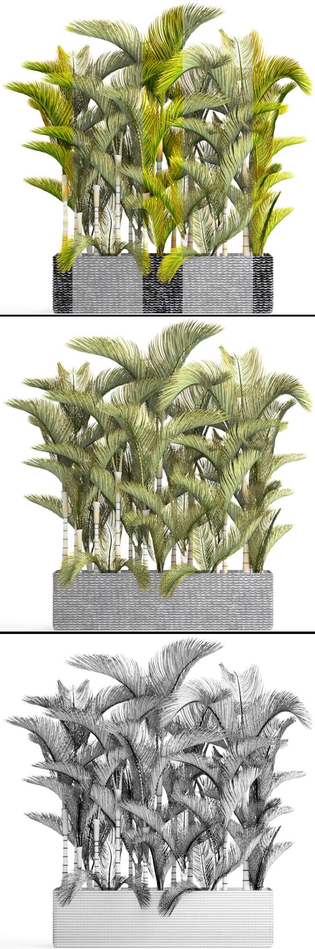 collection of tropical plants 3D Model in Tree 3DExport