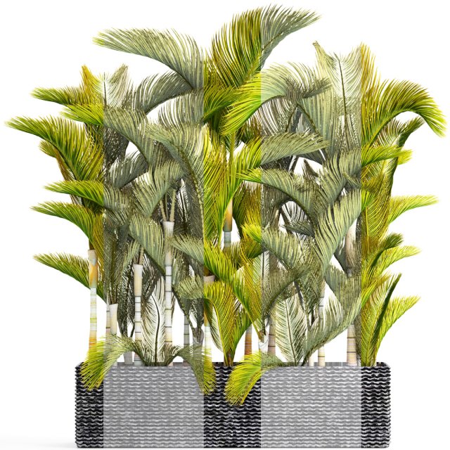 collection of tropical plants 3D Model in Tree 3DExport