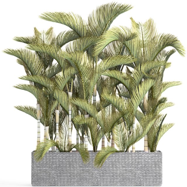 collection of tropical plants 3D Model in Tree 3DExport
