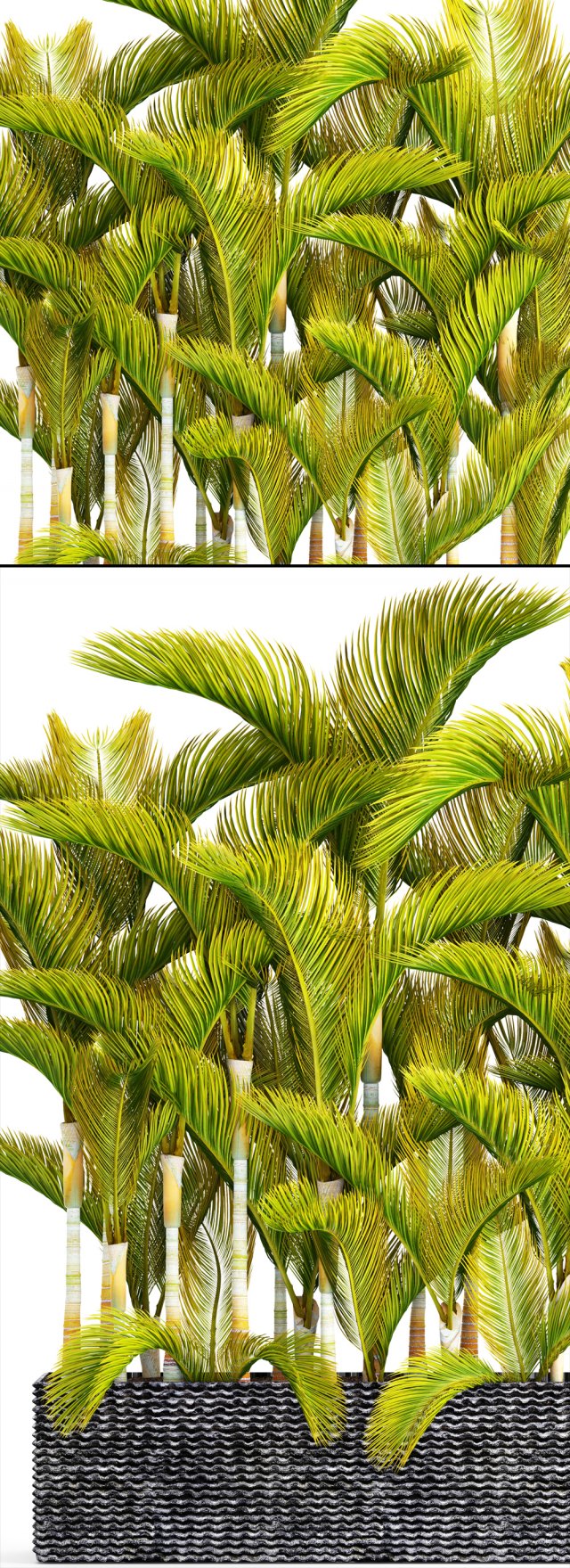 collection of tropical plants 3D Model in Tree 3DExport