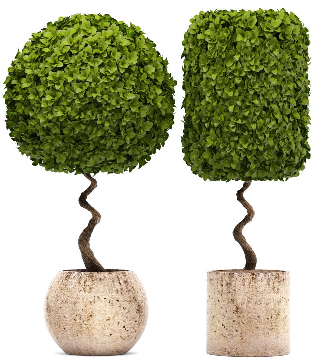 topiary trees 3D Model in Tree 3DExport