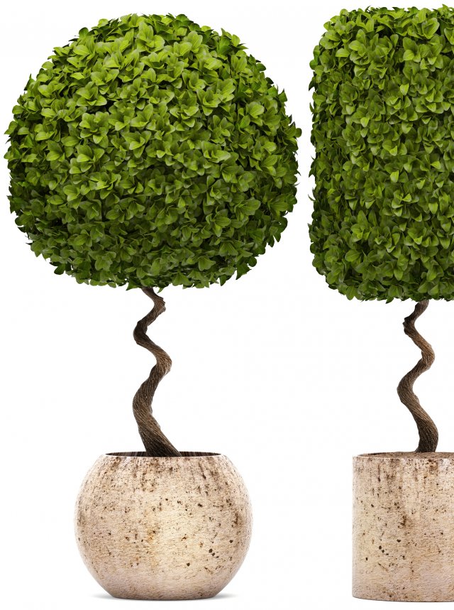 topiary trees 3D Model in Tree 3DExport