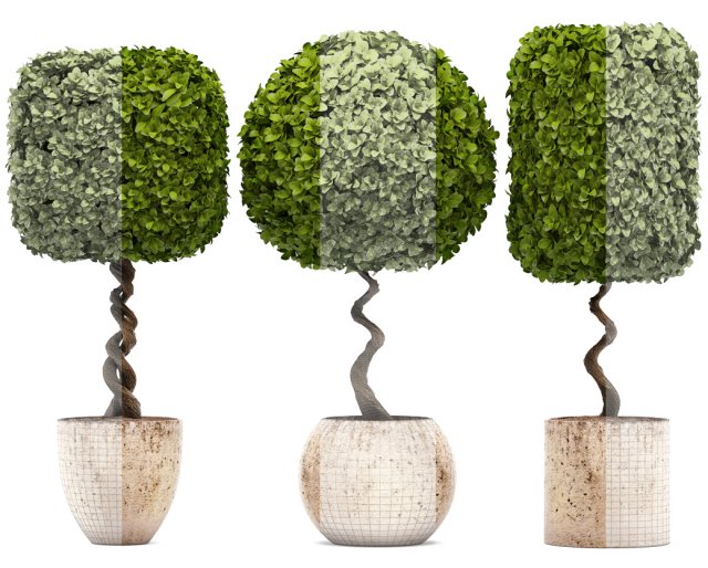 topiary trees 3D Model in Tree 3DExport