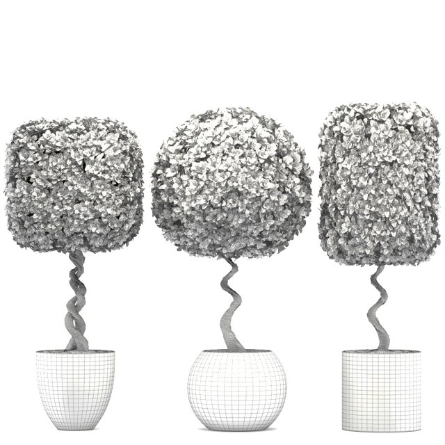 topiary trees 3D Model in Tree 3DExport