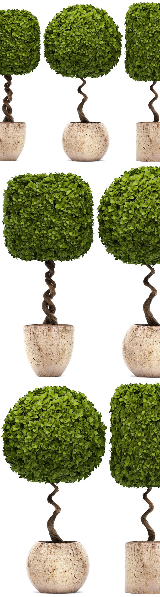 topiary trees 3D Model in Tree 3DExport