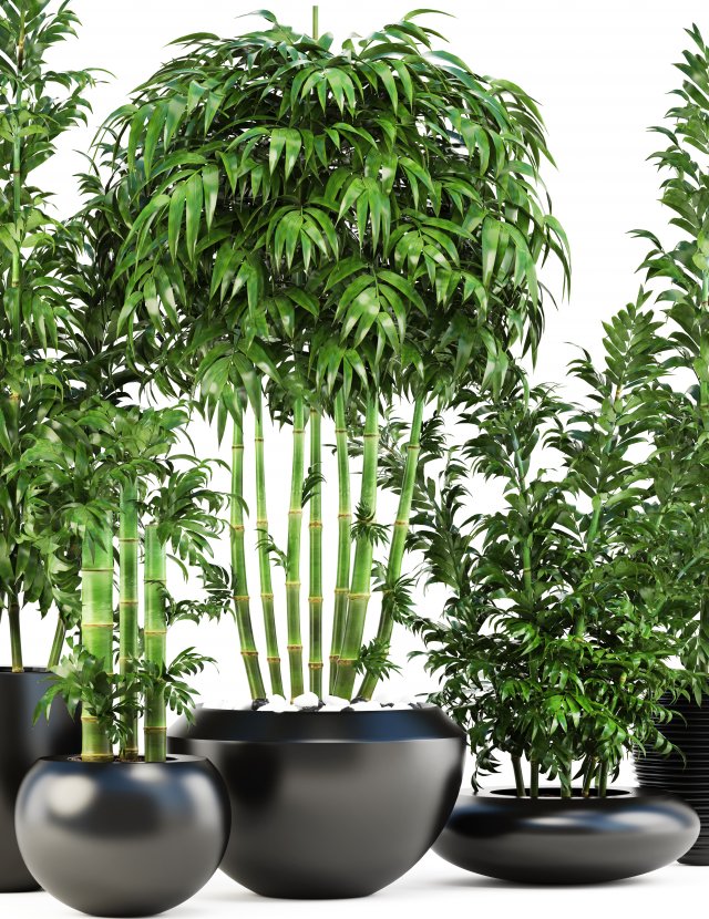 bamboo trees 3D Model in Tree 3DExport