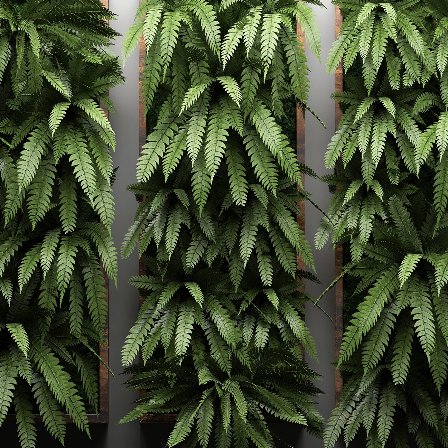 Vertical gardening Fern Wall 3 3D Model in Bush 3DExport