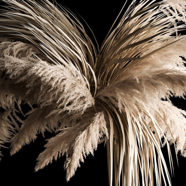 Previous Next Color palette Hanging Bouquet Of Dry Reeds For Decoration ...