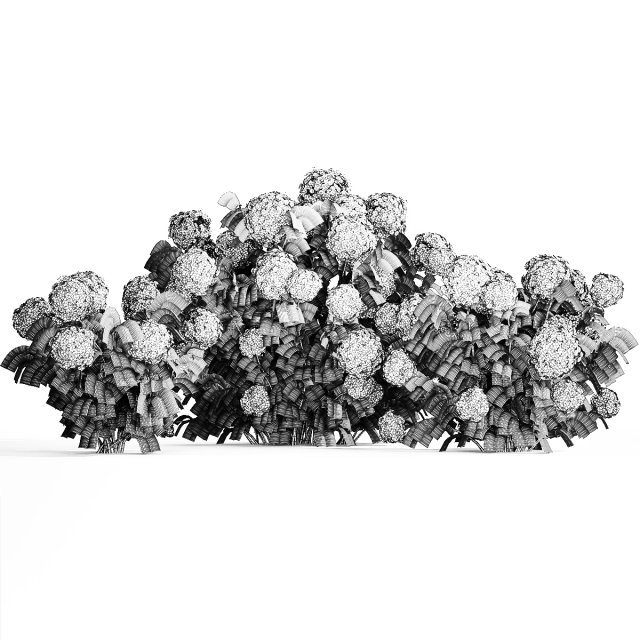 Hydrangea bushes for garden landscaping 1180 3D Model in Flowers 3DExport