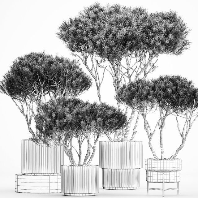 Set Trees in flowerpots topiary pine for decor 1215 3D Model in Small ...