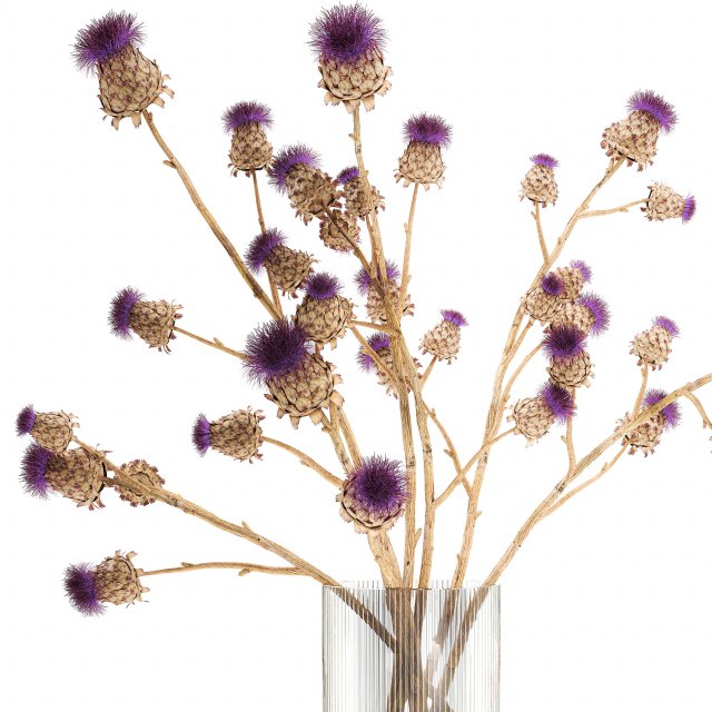 Beautiful dried flower bouquet Thistle thorn in a glass vase 296 3D ...