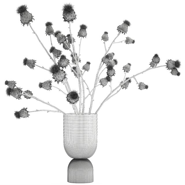 Beautiful dried flower bouquet Thistle thorn in a glass vase 296 3D ...