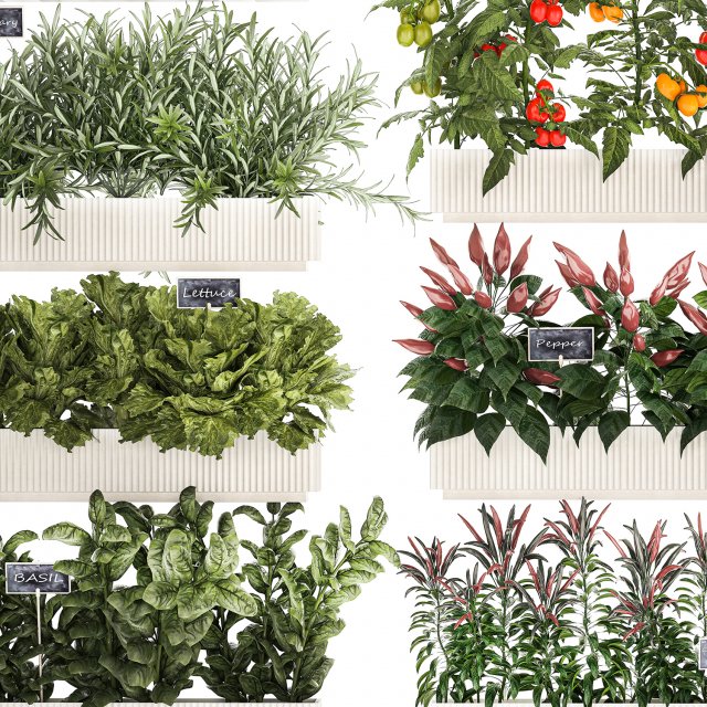 Kitchen garden vegetables tomatoes peppers greens 1416 3D Model in ...
