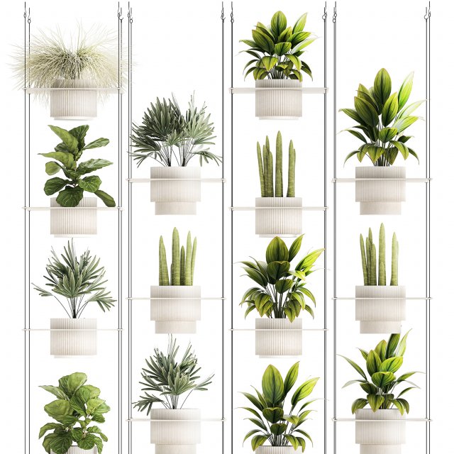 Hanging Shelf On Ropes Potted Plants Raphis Palm Ficus 1419 3D Model in ...