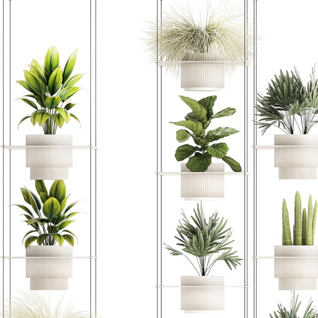 Hanging Shelf On Ropes Potted Plants Raphis Palm Ficus 1419 3D Model in ...