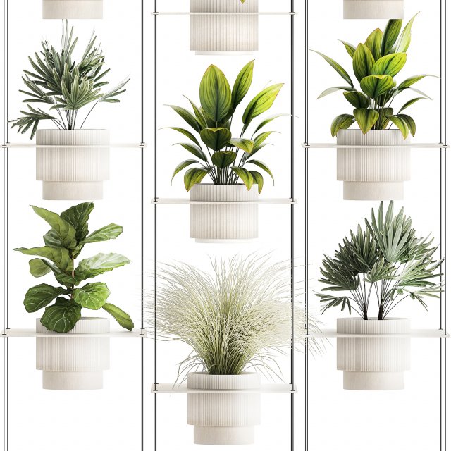 Hanging Shelf On Ropes Potted Plants Raphis Palm Ficus 1419 3D Model in ...