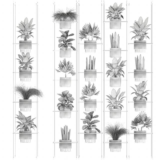 Hanging Shelf On Ropes Potted Plants Raphis Palm Ficus 1419 3D Model in ...