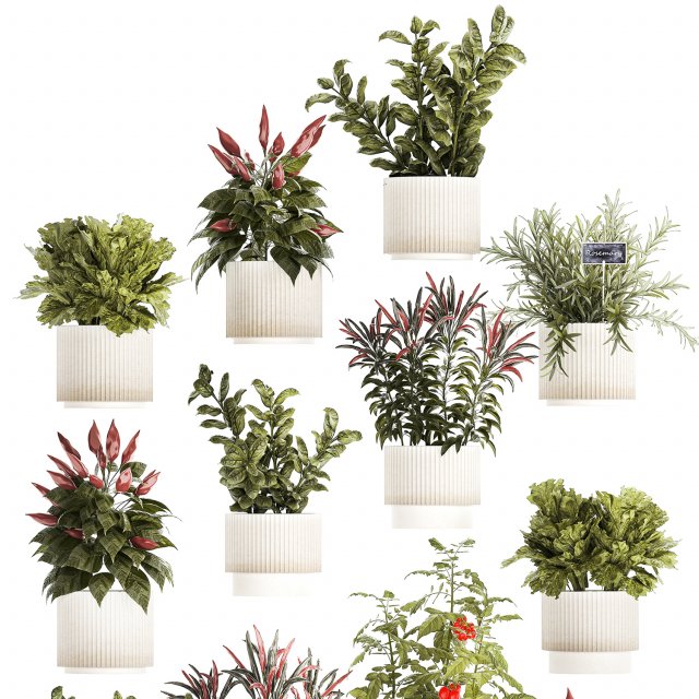 Vegetables Basil Rosemary Cherry Tomatoes Pepper 1433 3D Model in Small ...