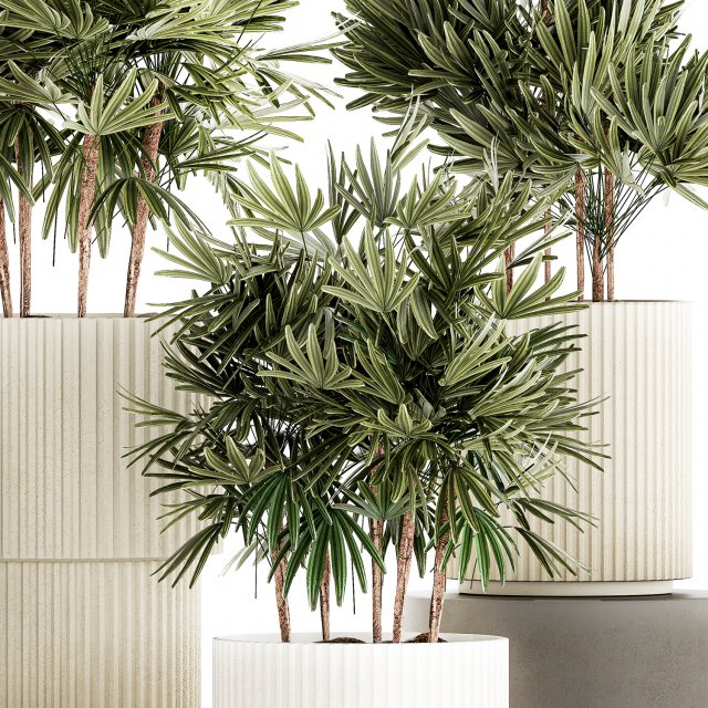 Set of small plants in modern Raphis Palm pots 1453 3D Model in Small ...
