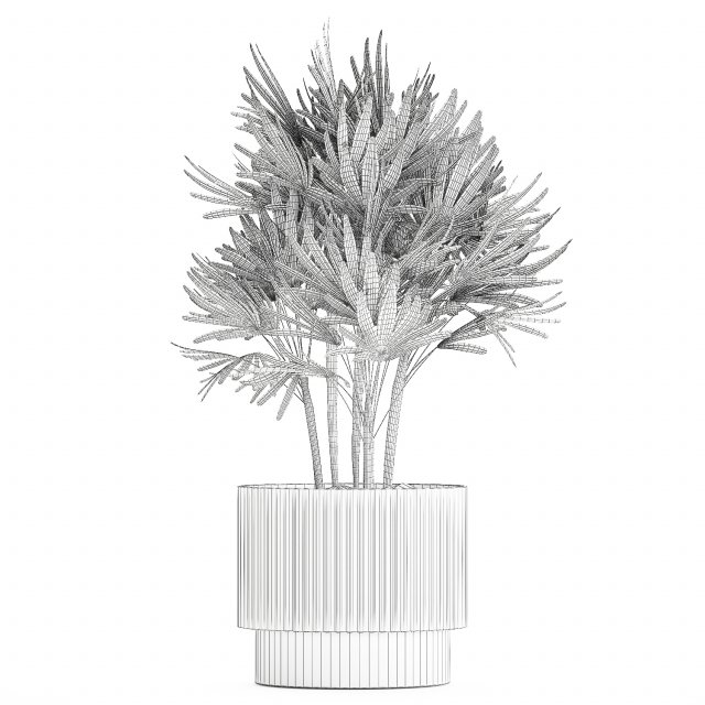 Small Raphis palm in a white modern pot 1464 3D Model in Small Plants ...