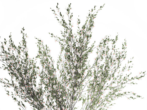 Bouquet de branches de fleurs de cerisier blanc sakura, décor de vase ...