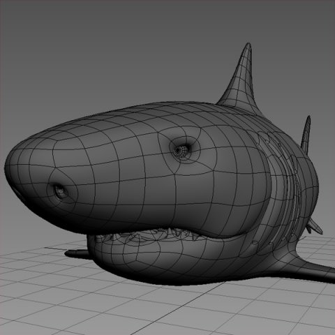 shark base mesh 3D Model in Shark 3DExport