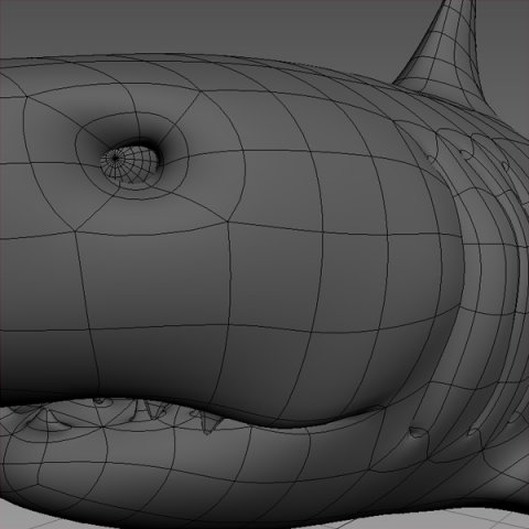 shark base mesh 3D Model in Shark 3DExport