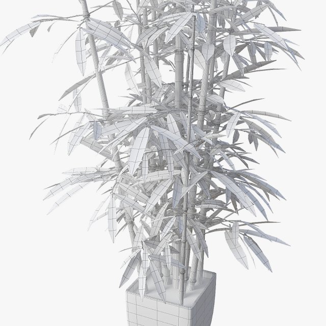 bamboo 3D Model in Small Plants 3DExport