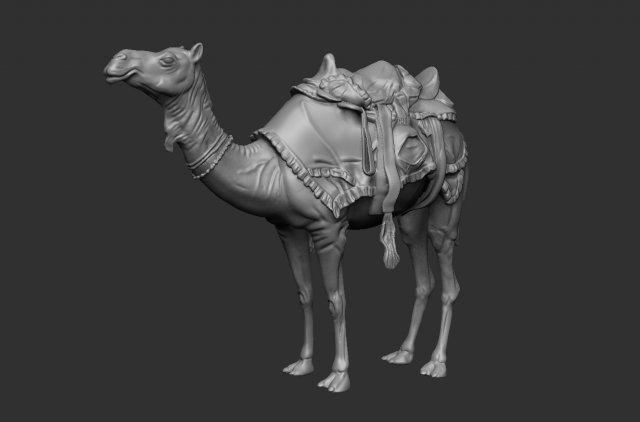 ARABIAN CAMEL 3D Model in Other 3DExport