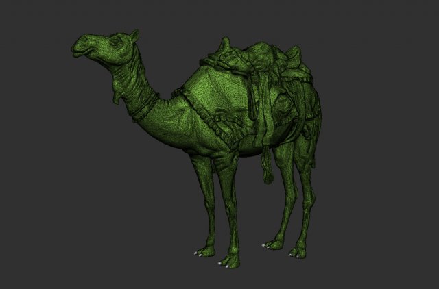 ARABIAN CAMEL 3D Model in Other 3DExport