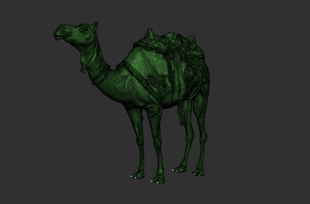ARABIAN CAMEL 3D Model in Other 3DExport