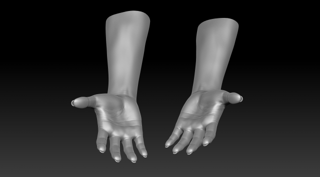 3d printable female hands 20 poses pack 3D Model in Anatomy 3DExport