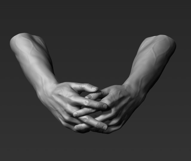 3d printable male hands 20 poses pack 3D Model in Anatomy 3DExport