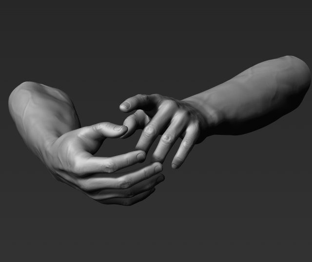 3d printable male hands 20 poses pack 3D Model in Anatomy 3DExport