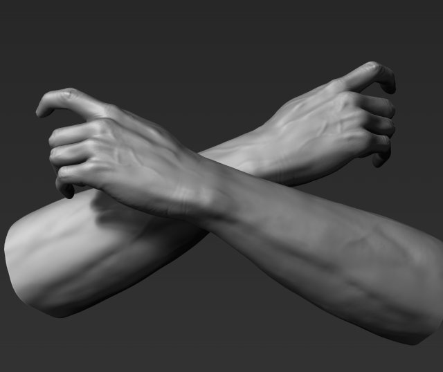 3d printable male hands 20 poses pack 3D Model in Anatomy 3DExport