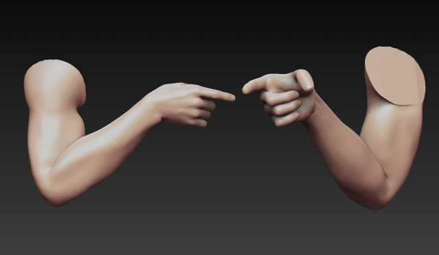 12 male arms 3D Model in Anatomy 3DExport