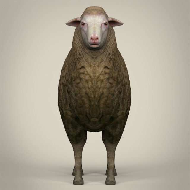 low poly realistic sheep 3D Model in Sheep 3DExport