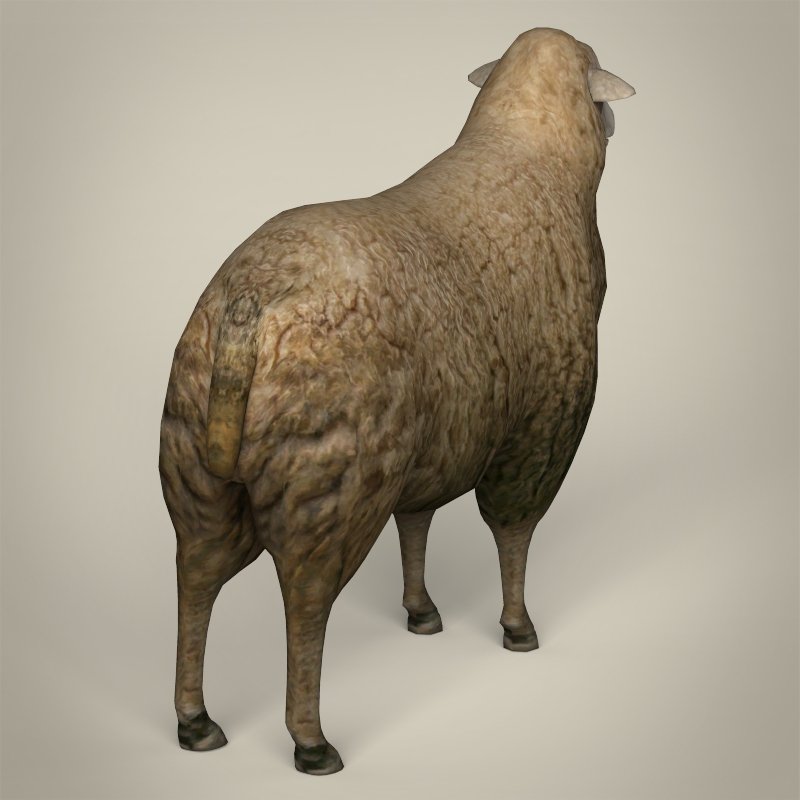 Low Poly Realistic Sheep 3D Model in Sheep 3DExport