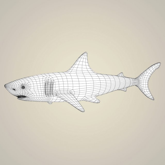 game ready realistic shark 3D Model in Shark 3DExport