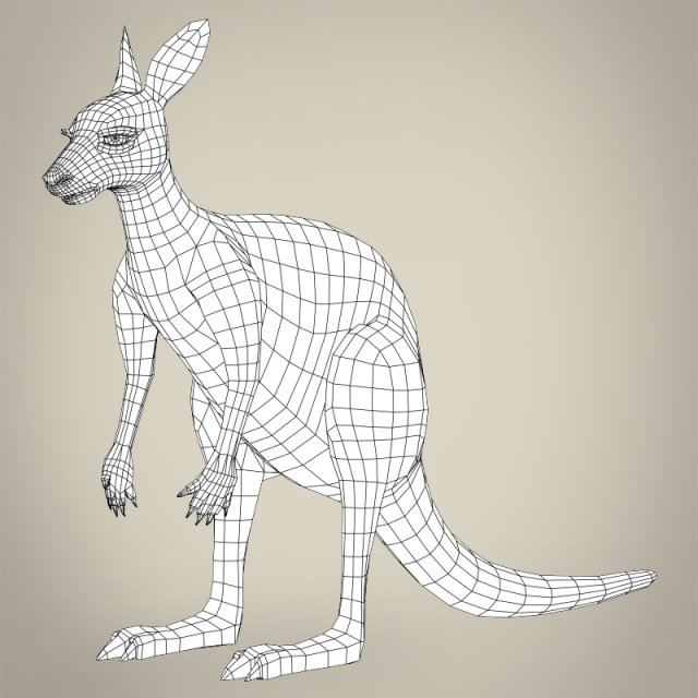 low poly realistic kangaroo 3D Model in Wildlife 3DExport